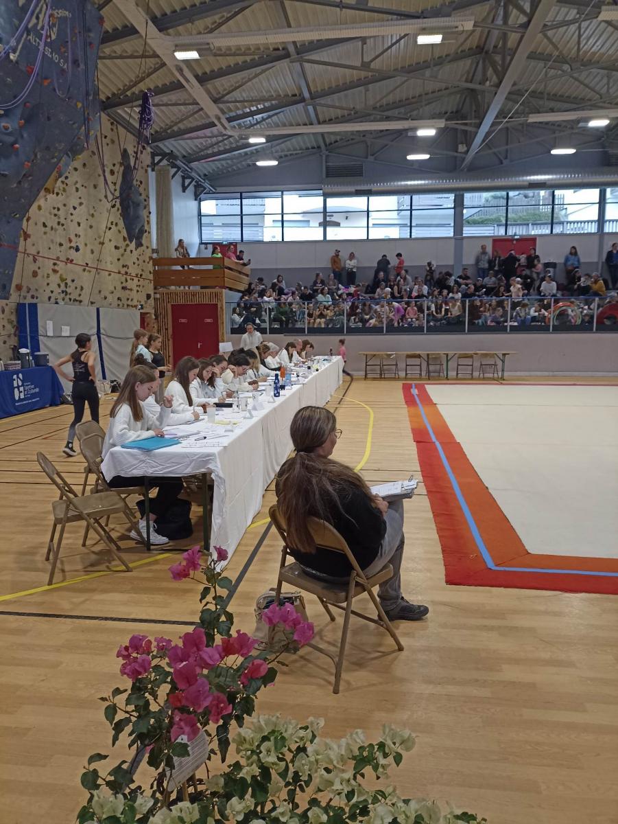 Gymnastique Rythmique Compétition Régionale N°2 Fscf